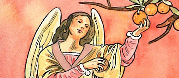 Anjel Aniel | Moneo.sk